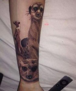 30+ Amazing Mongoose Tattoos with Meaning - Body Art Guru