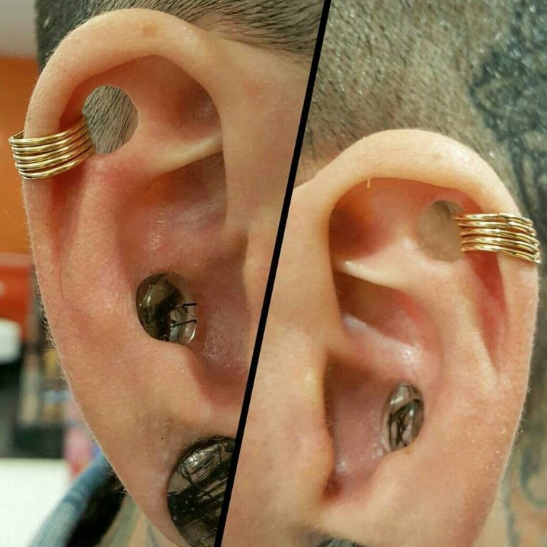 All About Ear Cropping Body Modification - Body Art Guru