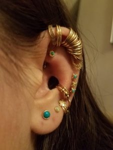 All About Ear Cropping Body Modification - Body Art Guru