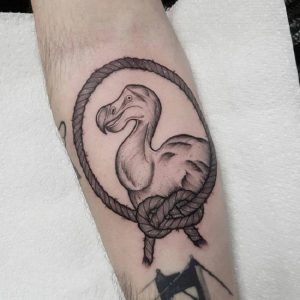 35+ Amazing Dodo Tattoos with Meaning - Body Art Guru