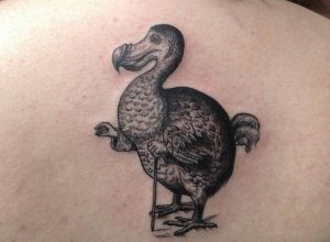 35+ Amazing Dodo Tattoos with Meaning - Body Art Guru