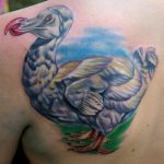 35+ Amazing Dodo Tattoos with Meaning - Body Art Guru