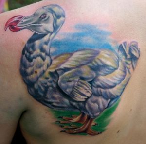 35+ Amazing Dodo Tattoos with Meaning - Body Art Guru