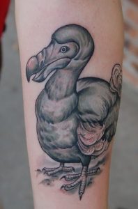35+ Amazing Dodo Tattoos with Meaning - Body Art Guru