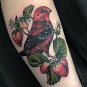 10+ House Finch Tattoos with Meaning - Body Art Guru