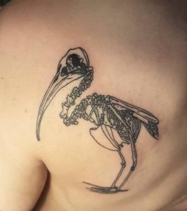 20+ Amazing Ibis Tattoos with Meanings - Body Art Guru