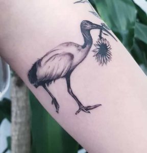 20+ Amazing Ibis Tattoos with Meanings - Body Art Guru
