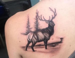 40+ Amazing Moose Tattoos with Meaning - Body Art Guru
