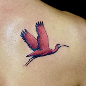 20+ Amazing Ibis Tattoos with Meanings - Body Art Guru
