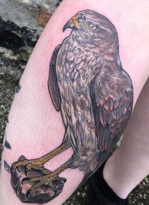25+ Amazing Hawk Tattoos with Meanings - Body Art Guru