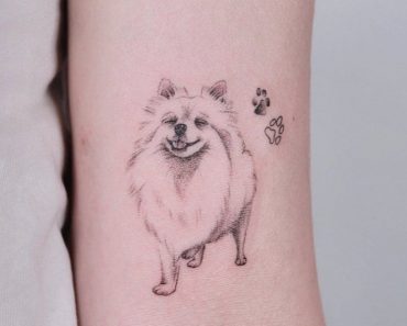 30+Amazing Pomeranian Tattoos with Meanings - Body Art Guru