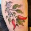 25+ Amazing Chili Tattoo Designs with Meanings and Ideas - Body Art Guru