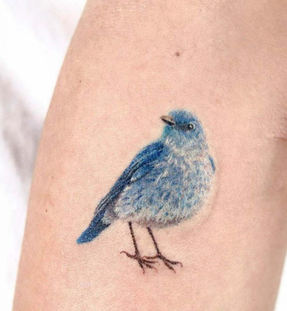 50 Beautiful Bird Tattoo Designs with Ideas and Meanings - Body Art Guru