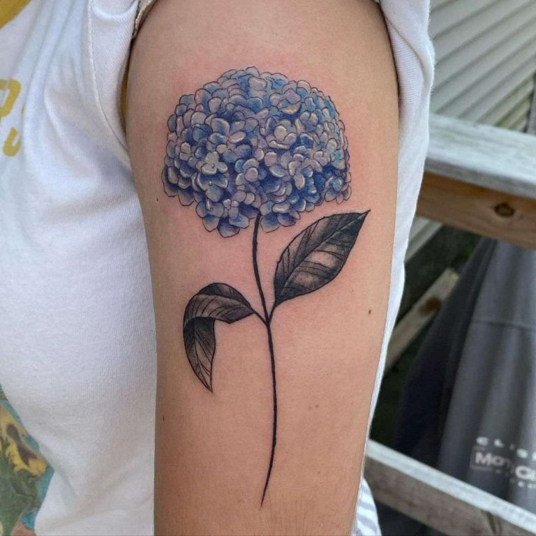 20+ Best Hydrangea Tattoo Designs with Ideas and Meanings - Body Art Guru
