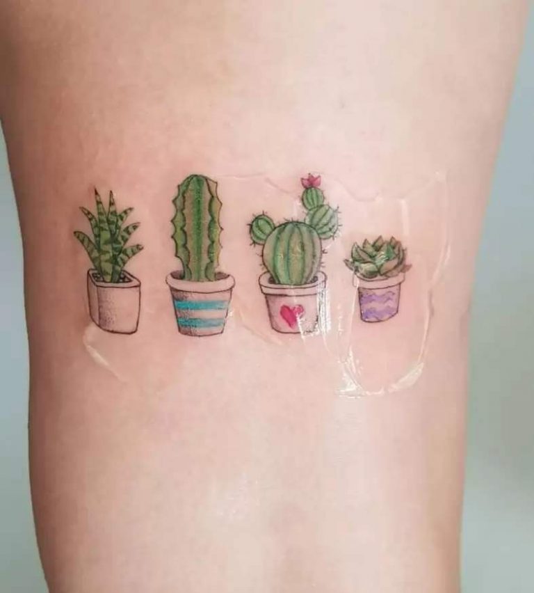 100+ Best Cactus Tattoo Designs with Ideas and Meanings - Body Art Guru