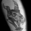 53 Cool Dragon Skull Tattoo Designs with Meanings and Ideas - Body Art Guru